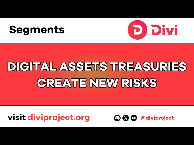 Divi Segments - Digital Assets Treasuries Create New Risks