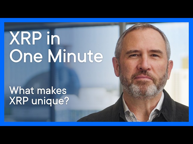 What Makes XRP Unique with Brad Garlinghouse