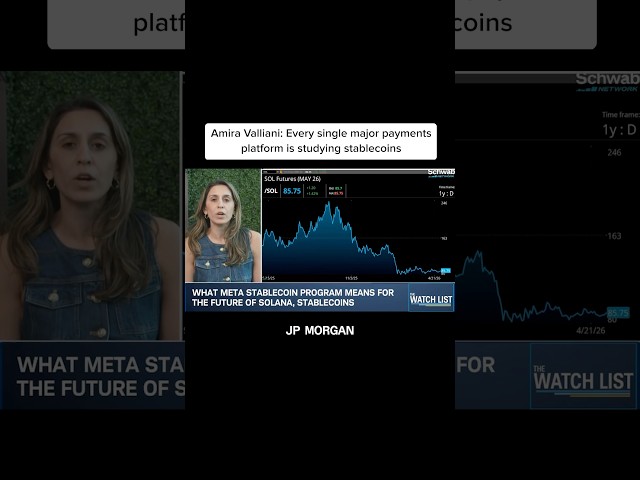 Every Single Major Payments Platform Is Studying Stablecoins | Amira Valliani on the Schwab Network