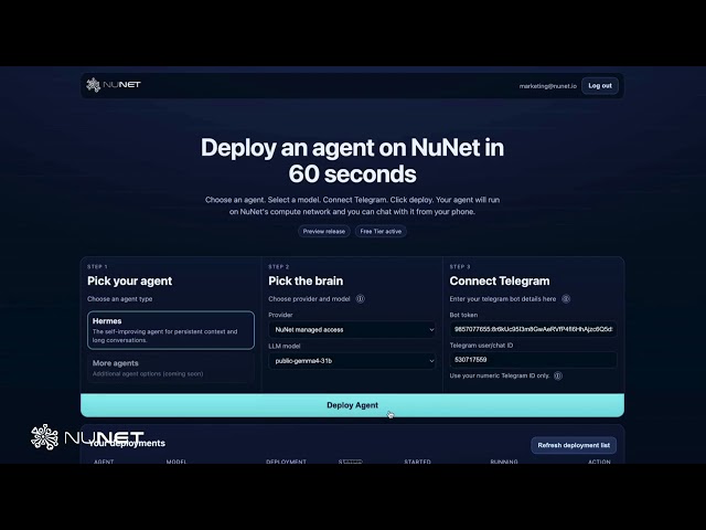 NuNet Agents Hub Hermes Dashboard Setup Walkthrough