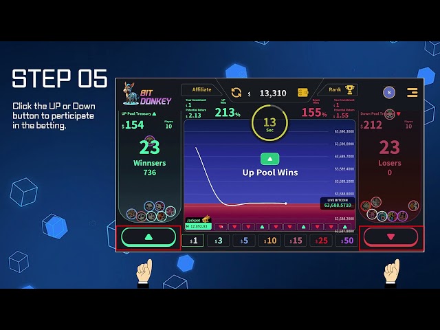 bitdonkey 30sec guide