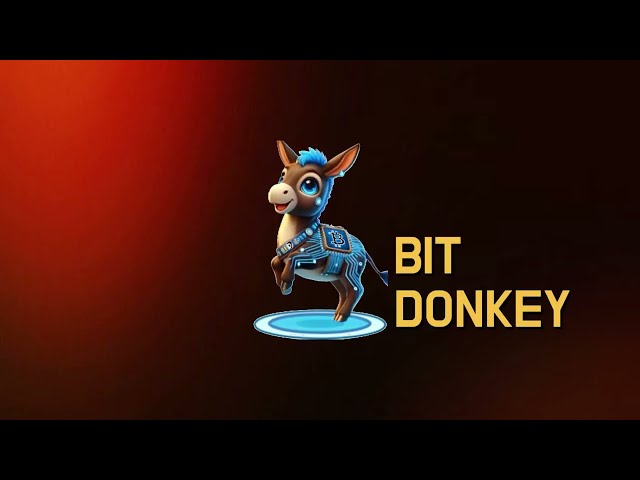 bitdonkey guide video