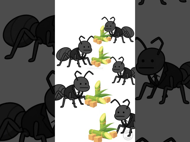 O País das Formigas Descobriu o Bitcoin… e Tudo Mudou 🐜💰