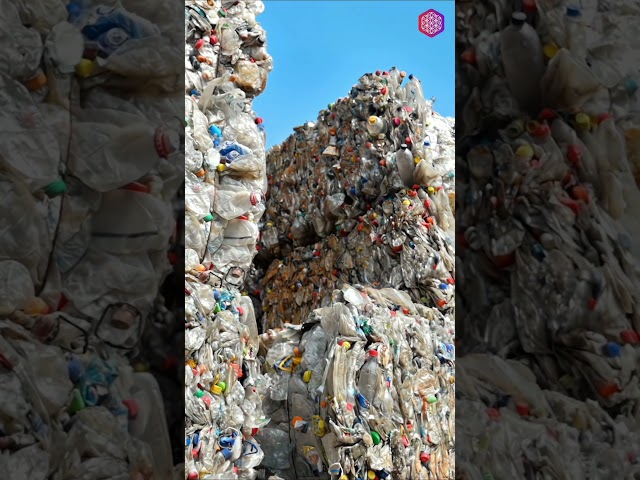 Plastic Credits: The Next Billion Dollar Market