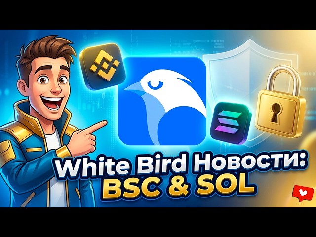 WHITEBIRD - ВАЖНЫЕ ОБНОВЛЕНИЕ | СЕТЬ BSC & SOL | ГАРАНТИИ ОТ ПЛОЩАДКИ