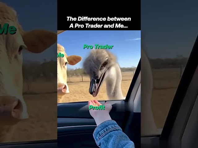 Me VS Pro trader