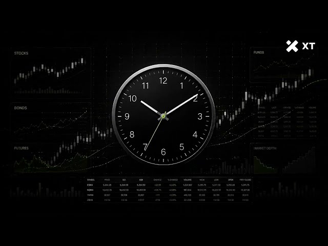 Crypto Trading 24/7: Never Miss a Market Move with XT Exchange