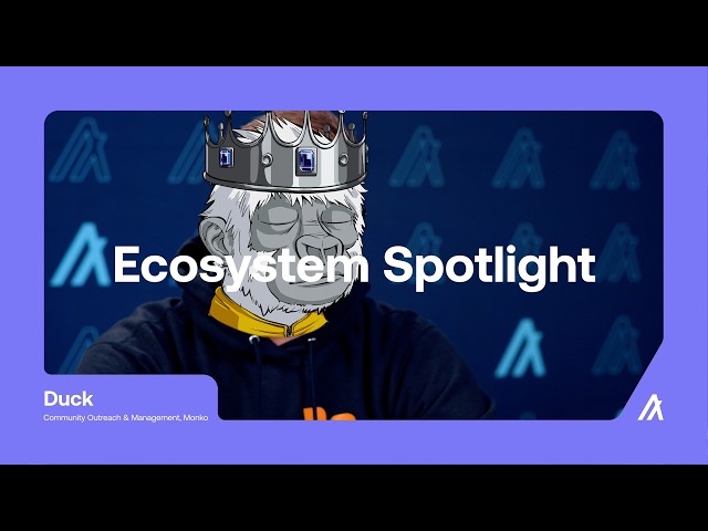 Ecosystem Spotlight: Monko