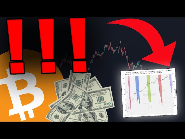 EVERY BITCOIN HOLDER NEEDS TO SEE THIS CHART
