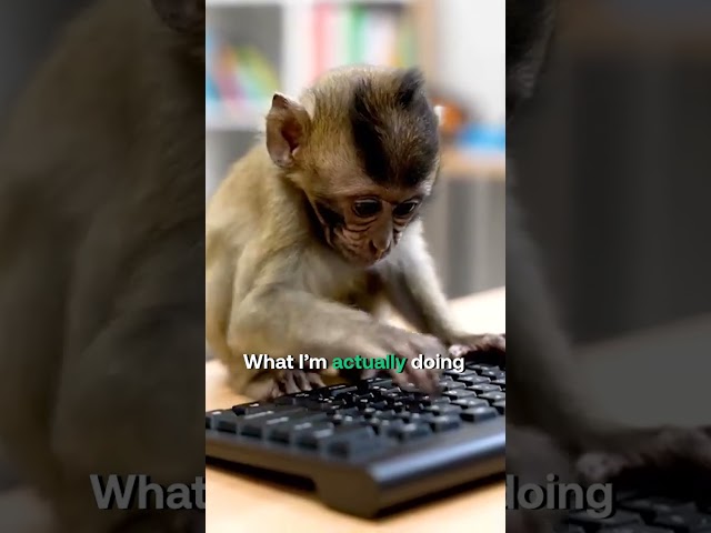 POV: When I start doing my own reasech