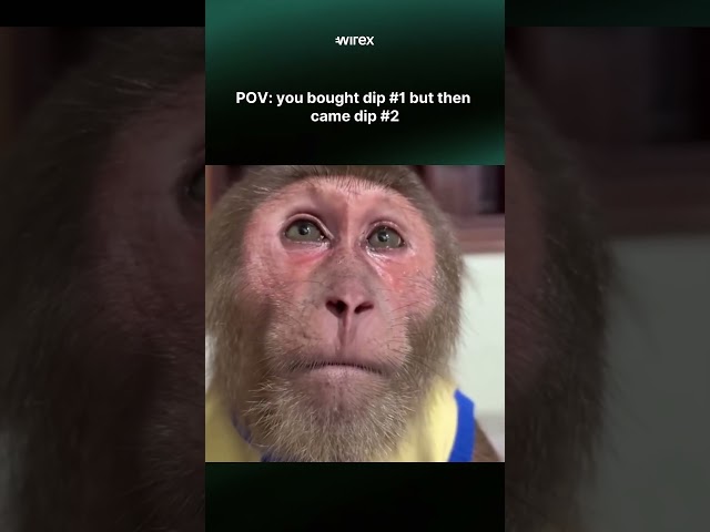 POV: You Bought Dip #1 Then Dip #2 Arrived 📉 #crypto