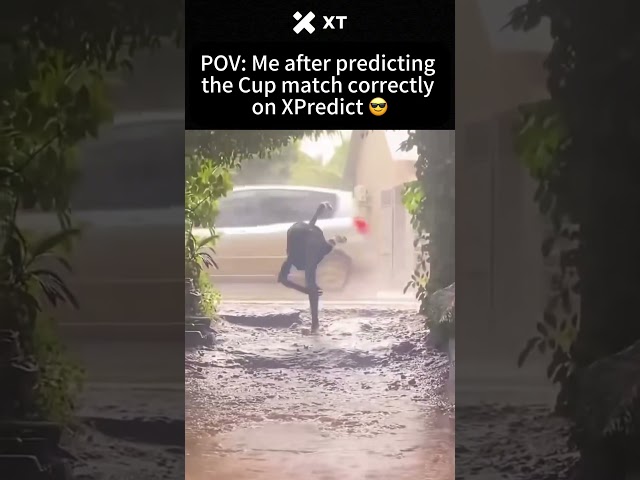 POV: Me after predicting the Cup match correctly on XPredict 😎