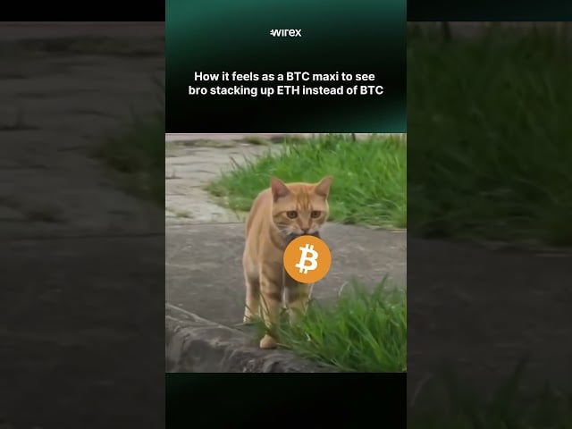How It Feels as a Bitcoin Maxi Watching Bro Buy ETH 🥲 #crypto