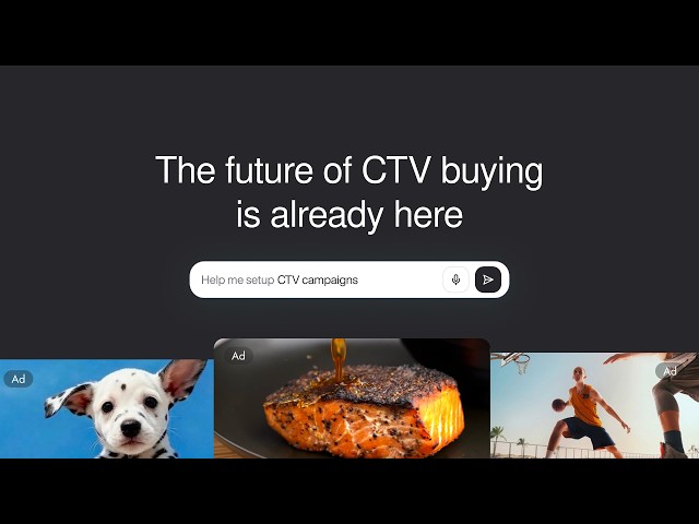 Launch a TV Ad Campaign in Minutes (NO AGENCY NEEDED)