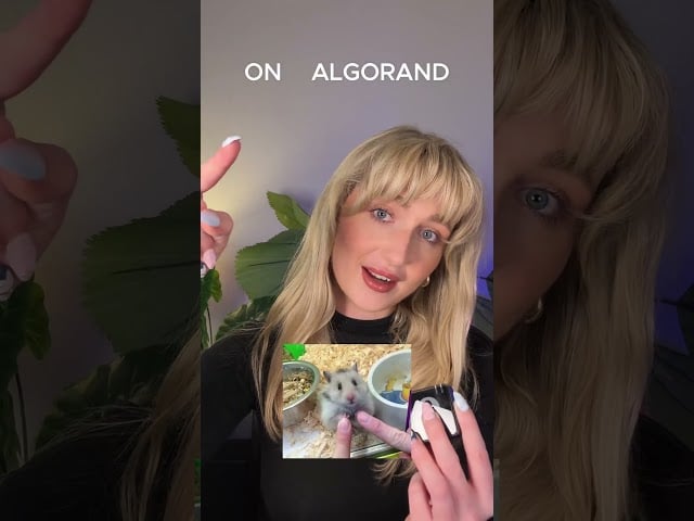 Algorand has been on fire lately! Here's the latest news
