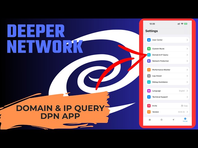DPN App - Domain & IP Query