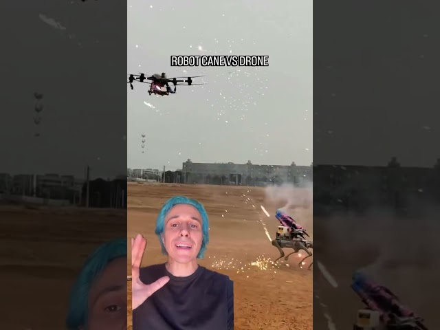 Robot cane vs drone 🤖🐕🚁 Si sparano fuochi d’artificio a vicenda