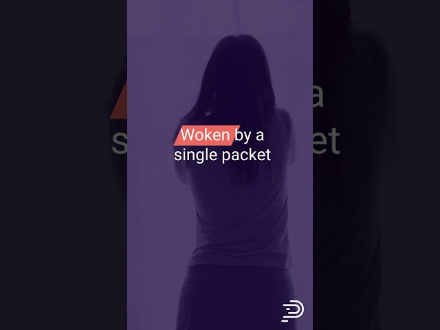 SLEEPWALKER  The Backdoor That Waits