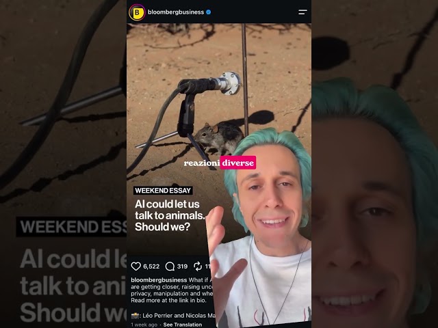 INTELLIGENZA ARTIFICIALE E LINGUAGGIO DEGLI ANIMALI: STIAMO IMPARANDO A COMUNICARE CON ALTRE