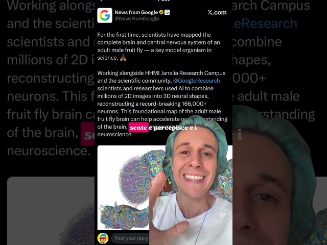 CERVELLO DI UNA MOSCA ONLINE: DA DOOM AL TRADING DI BITCOIN Google Research, HHMI Janelia e altri