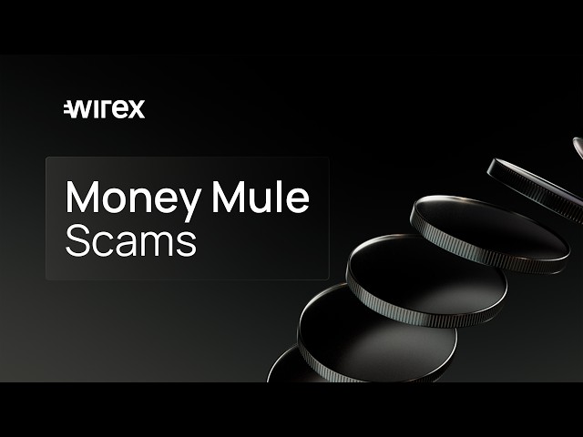 Crypto Scams to Watch For: Money Mule Scams