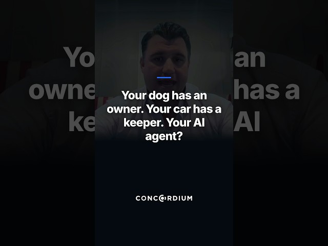 An AI agent with a wallet is a teenager with daddy's credit card